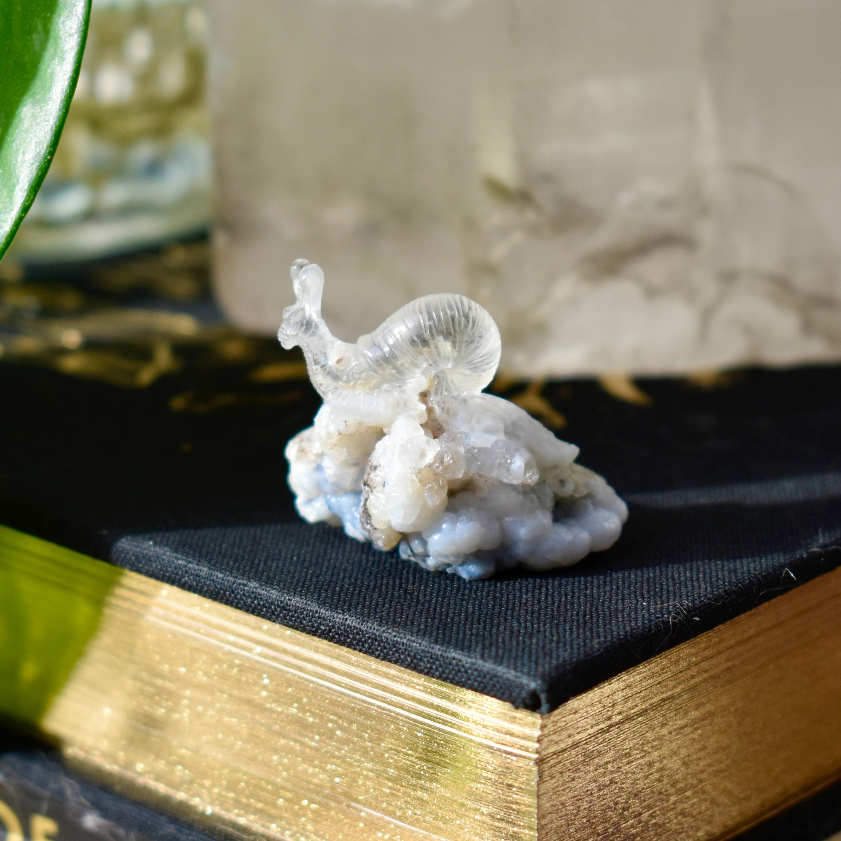 Hyalite Opal Snail Carving **UV Reactive** **One-of-a-Kind ...